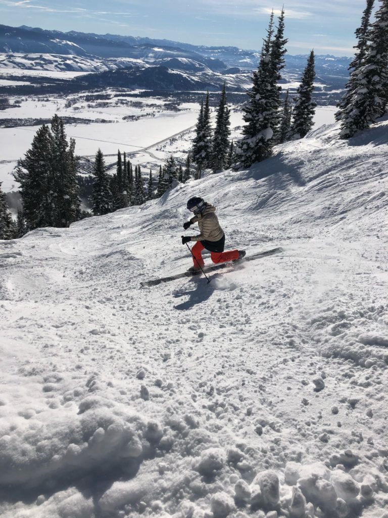 Tele Blowout Sale! - Skinny Skis | Jackson Hole